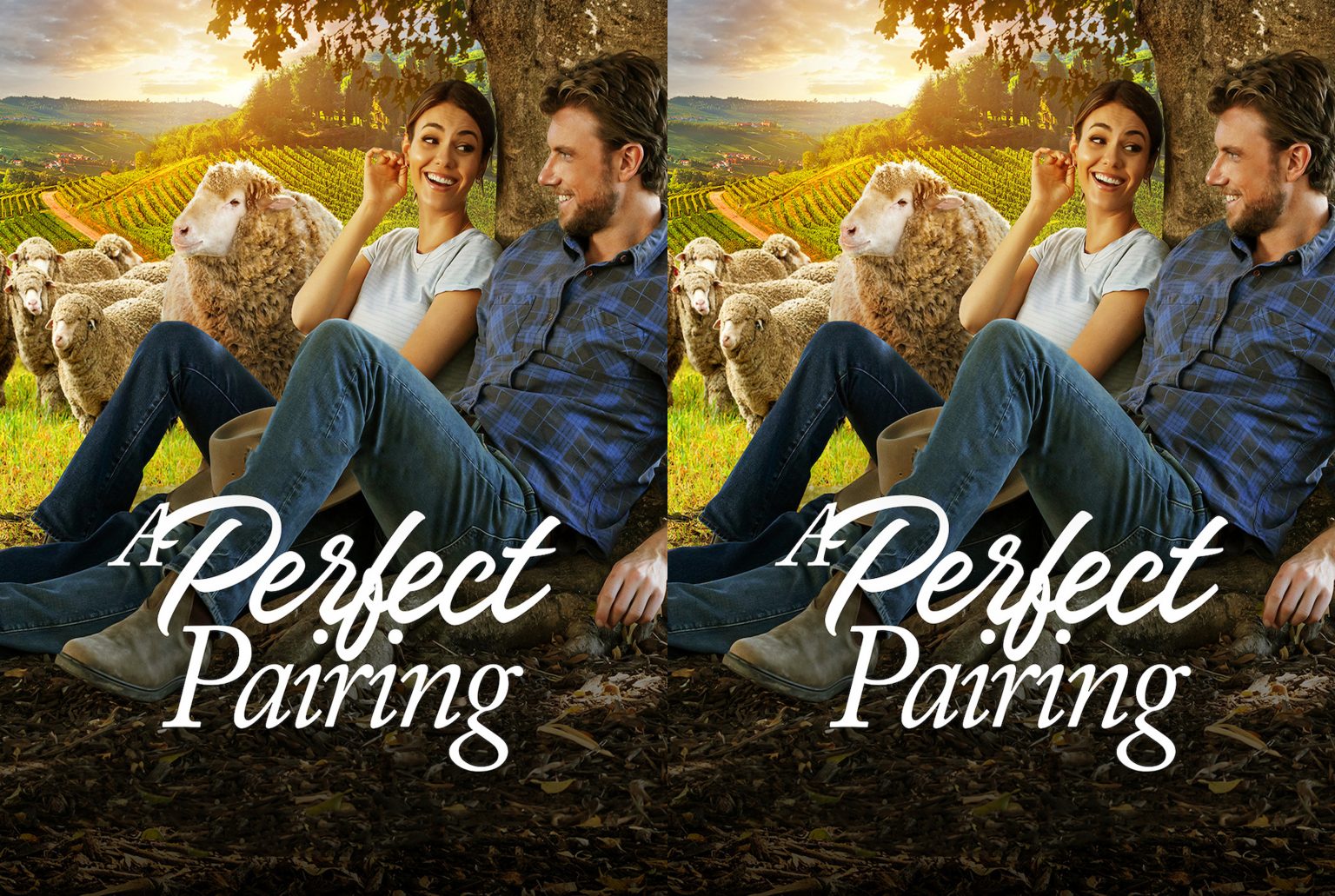 A Perfect Pairing (2022) Blu Ray - SKNMART