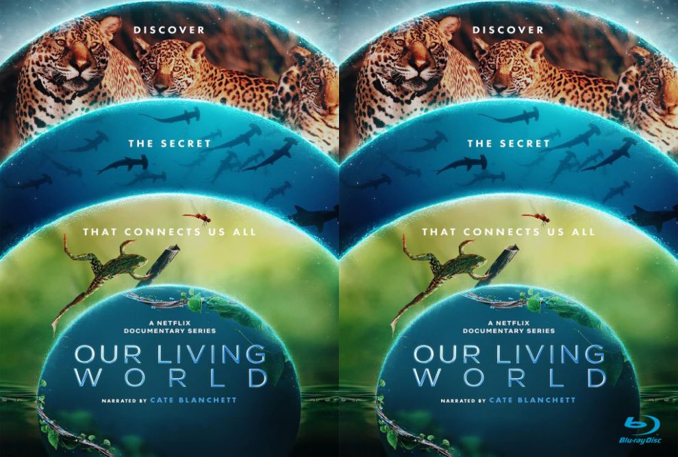 Our Living World Complete 1st Season (2024) Region Free Blu-Ray - SKNMART